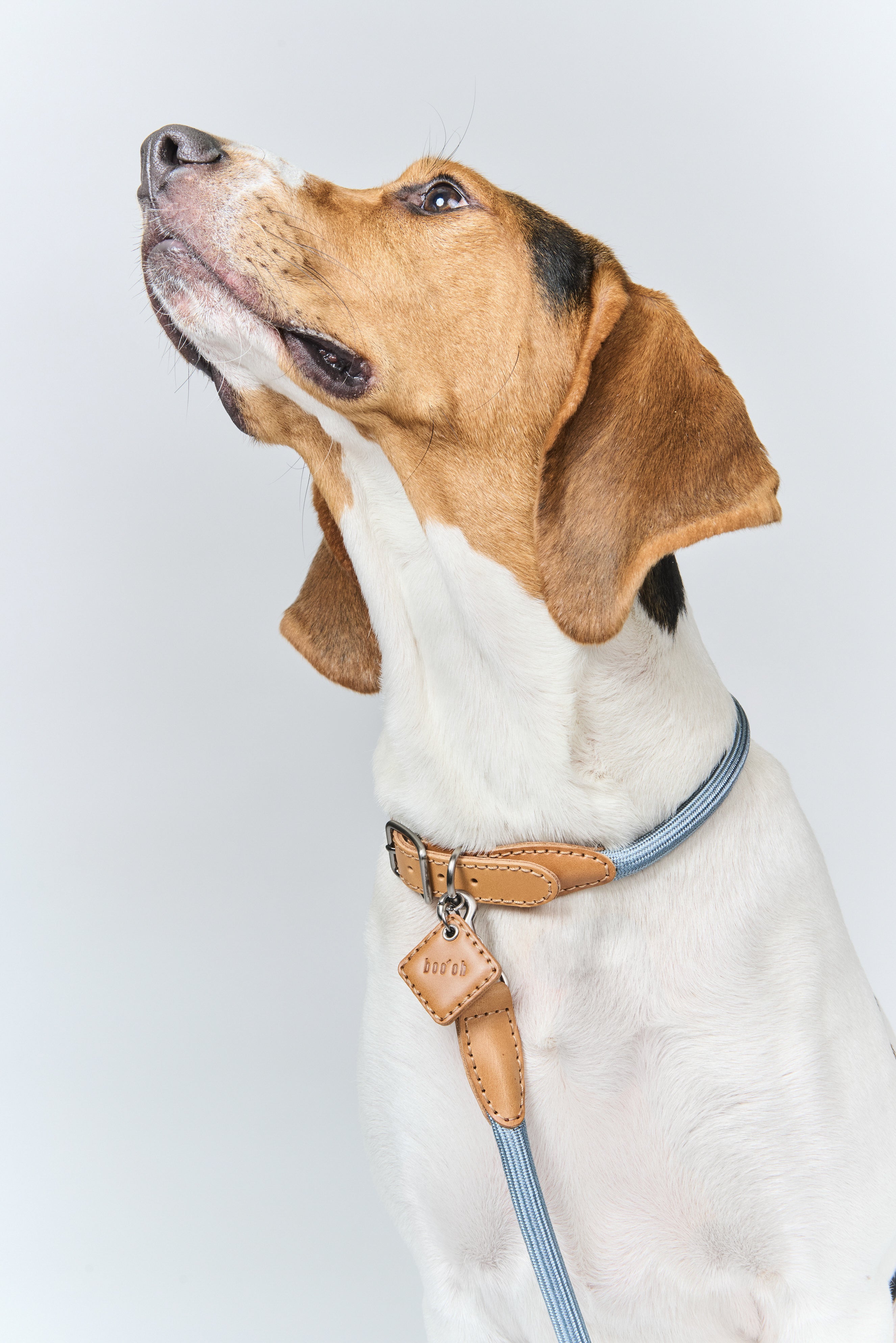 Ray Collar – Boo Oh