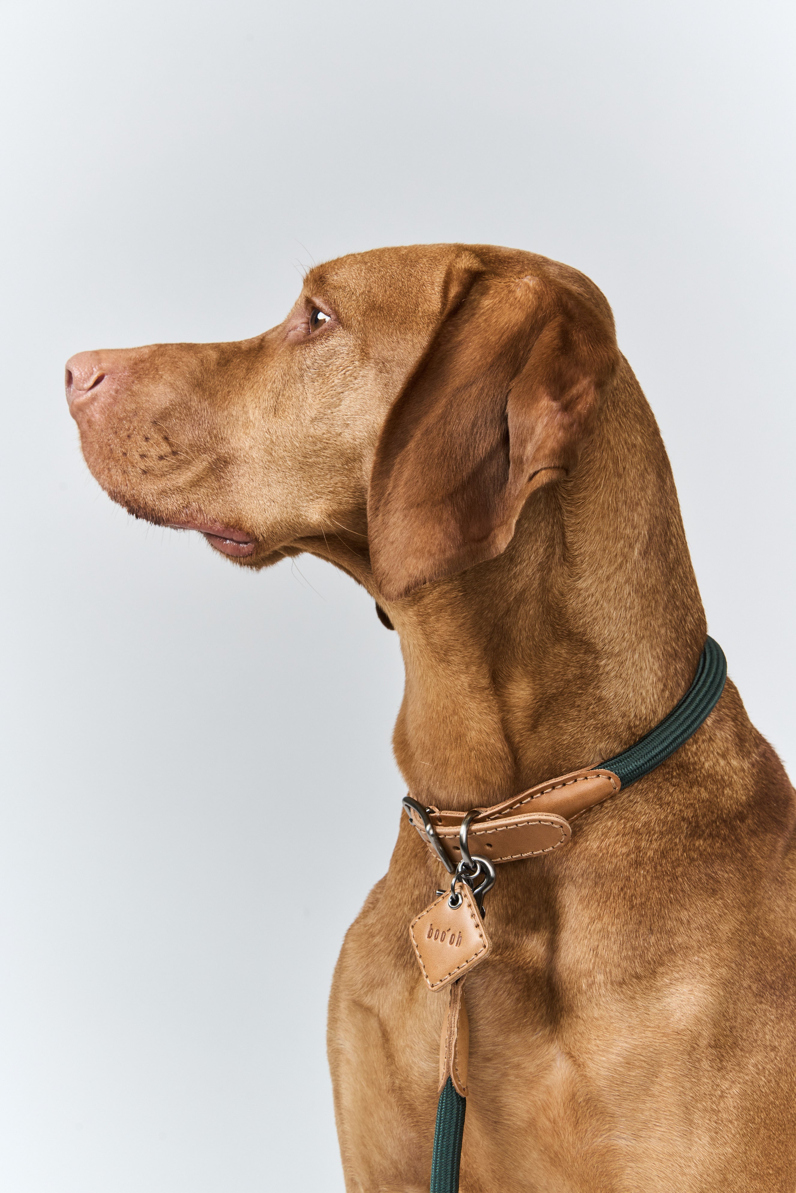 Ray Collar – Boo Oh