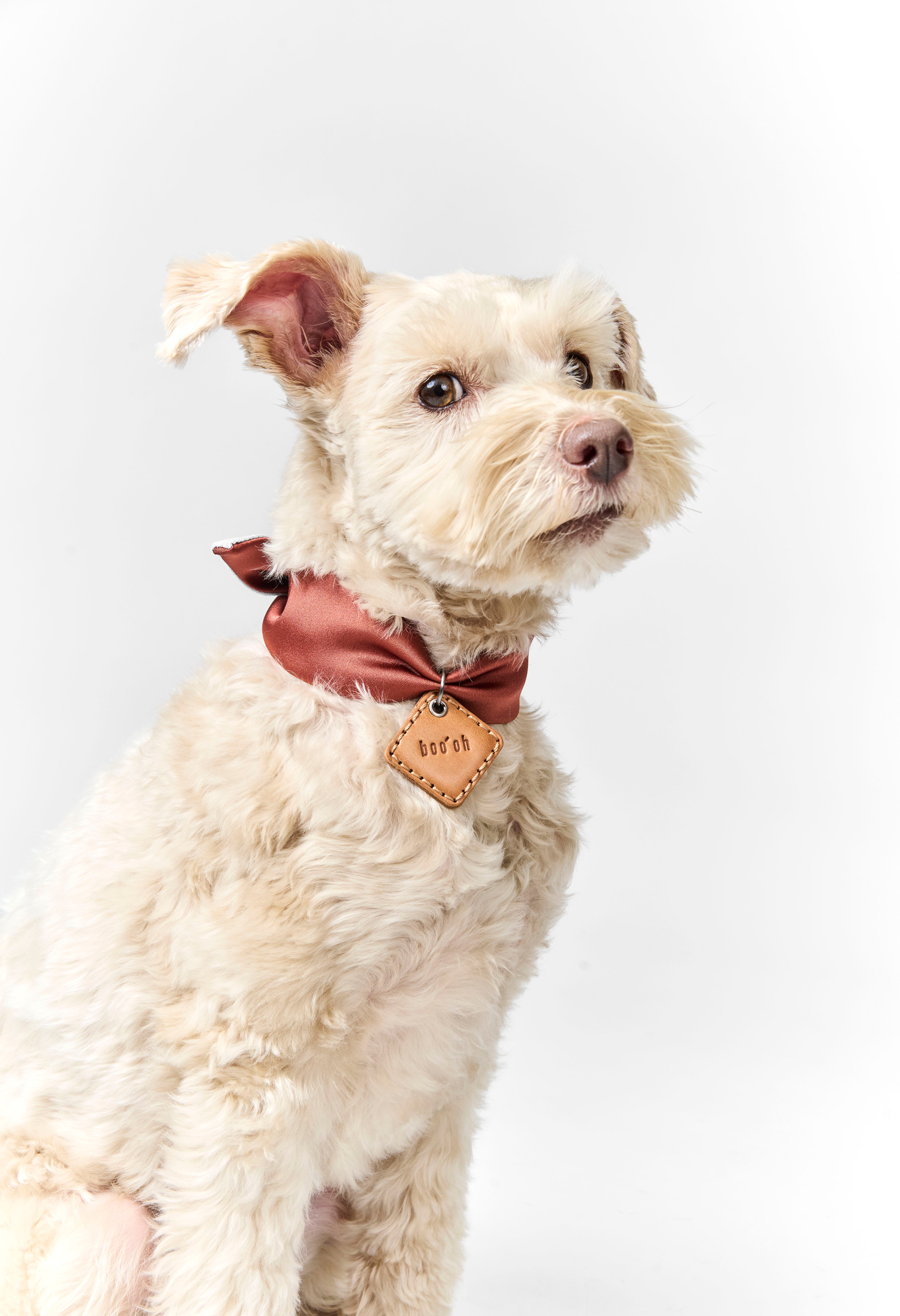 Aura ID Scarf – Boo Oh